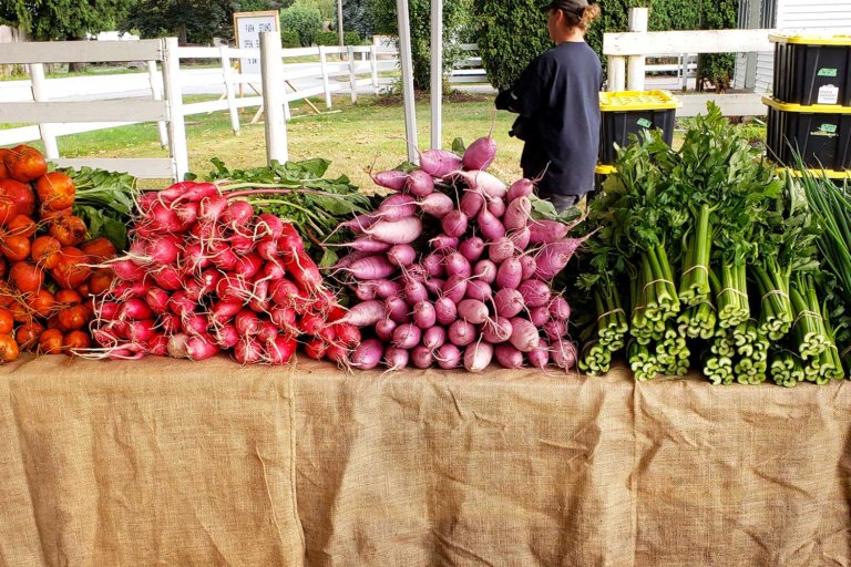 Stable Harvest Farm - Free educational farm experiences for schools