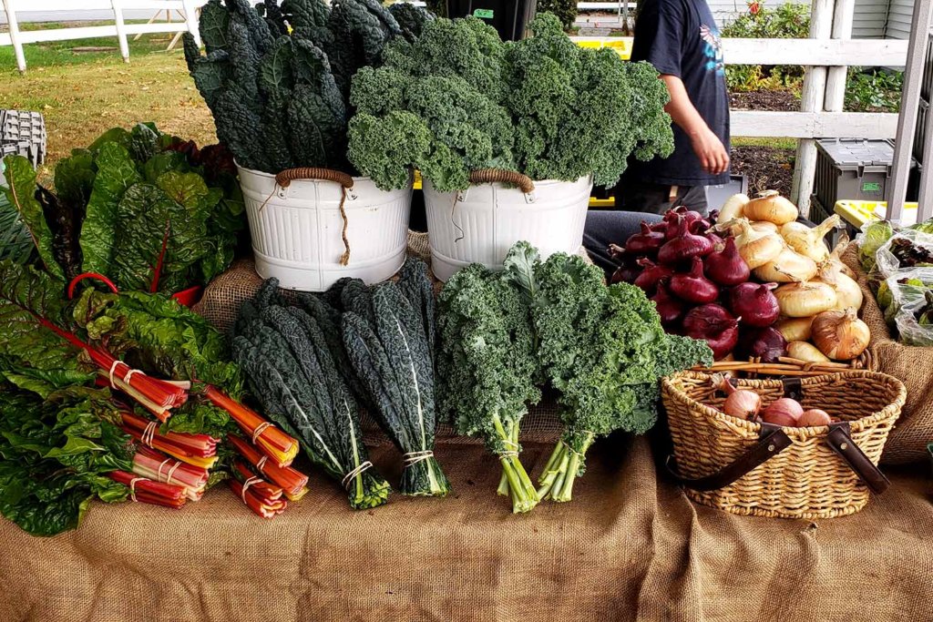 Stable Harvest Farm - Free educational farm experiences for schools